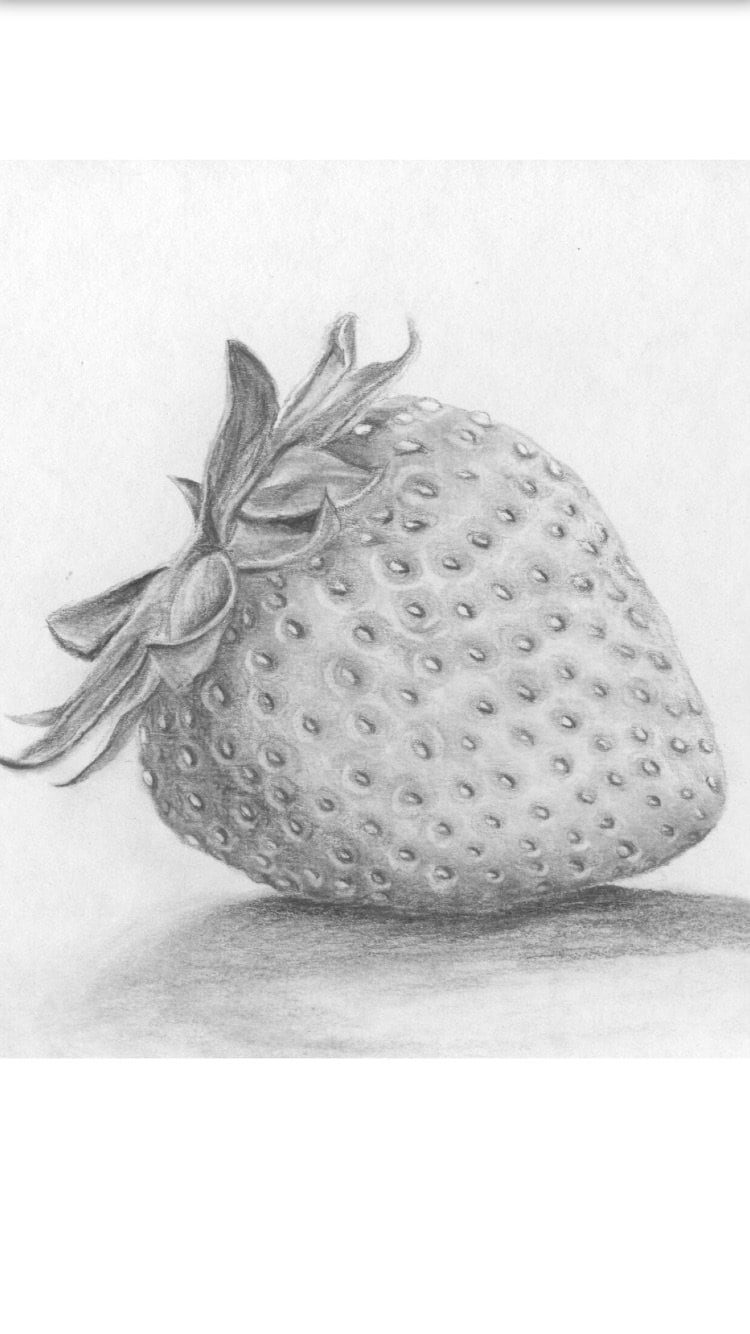 Strawberry Pencil Drawing