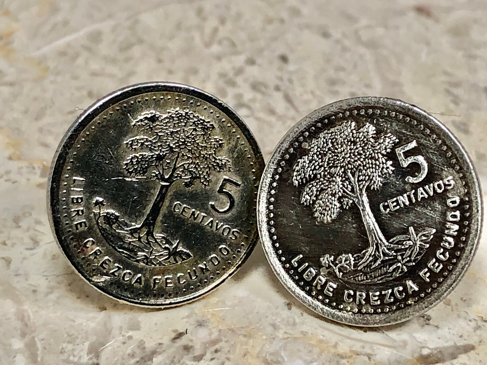 Guatemala Coin Stud Earrings Set Guatemalan 5 Centavos Vintage Handmade ...