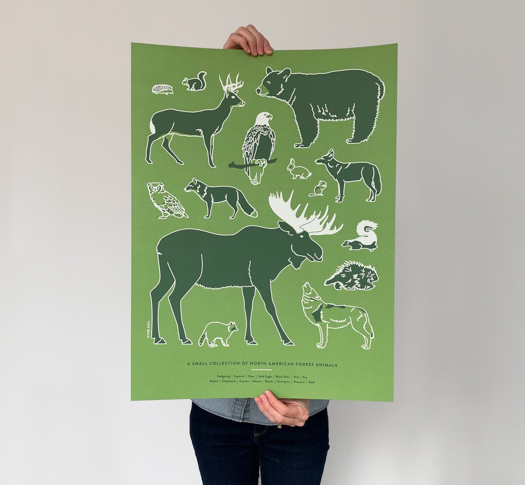 Forest Animals Screenprint | 18x24" | Kids Room Art | Animal Collection ...