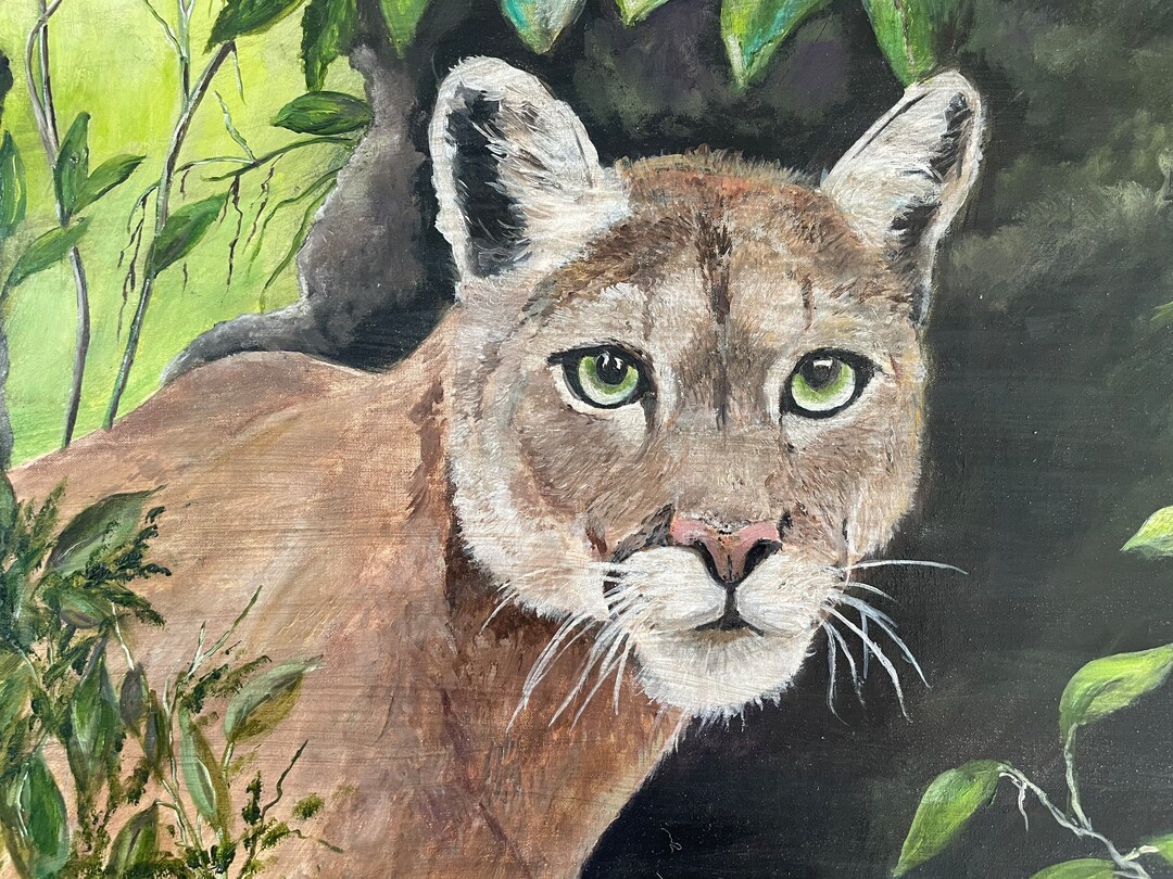 Puma - Original Oil Painting - Wild Life Animal Art Box Canvas - Etsy