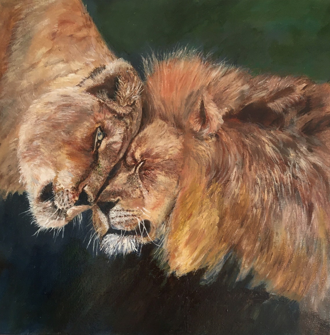 Lion and lioness original oil painting 40 by 40cm box | Etsy