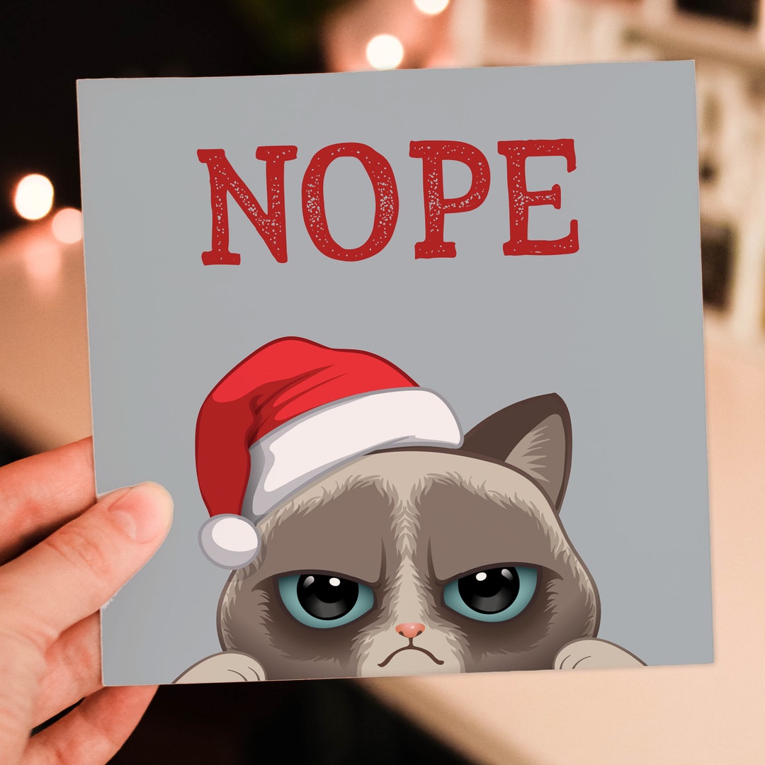Funny, Rude Grumpy Cat in Santa Hat, Kitten Anti-christmas, Holidays Card From the Cat, Pet for ...