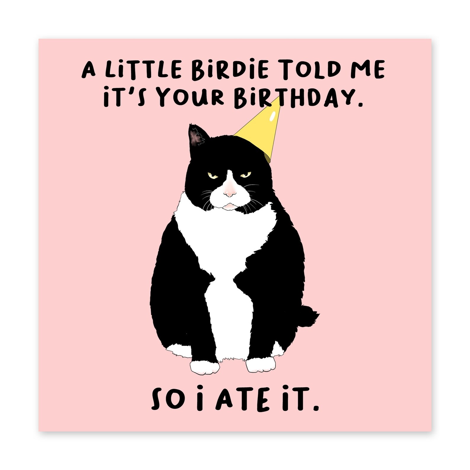Funny Cat Kitten Pet Cat Lady Birthday Card: A Little - Etsy