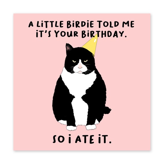Funny Birthday Cat Pictures For Women