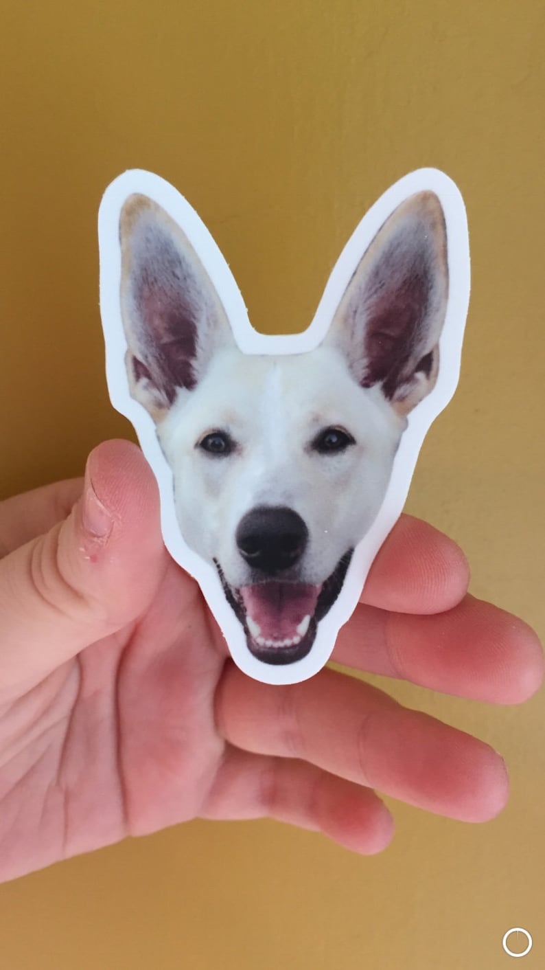 Custom Pet Stickers Stick Your Best Friend Anywhere / Decal - Etsy