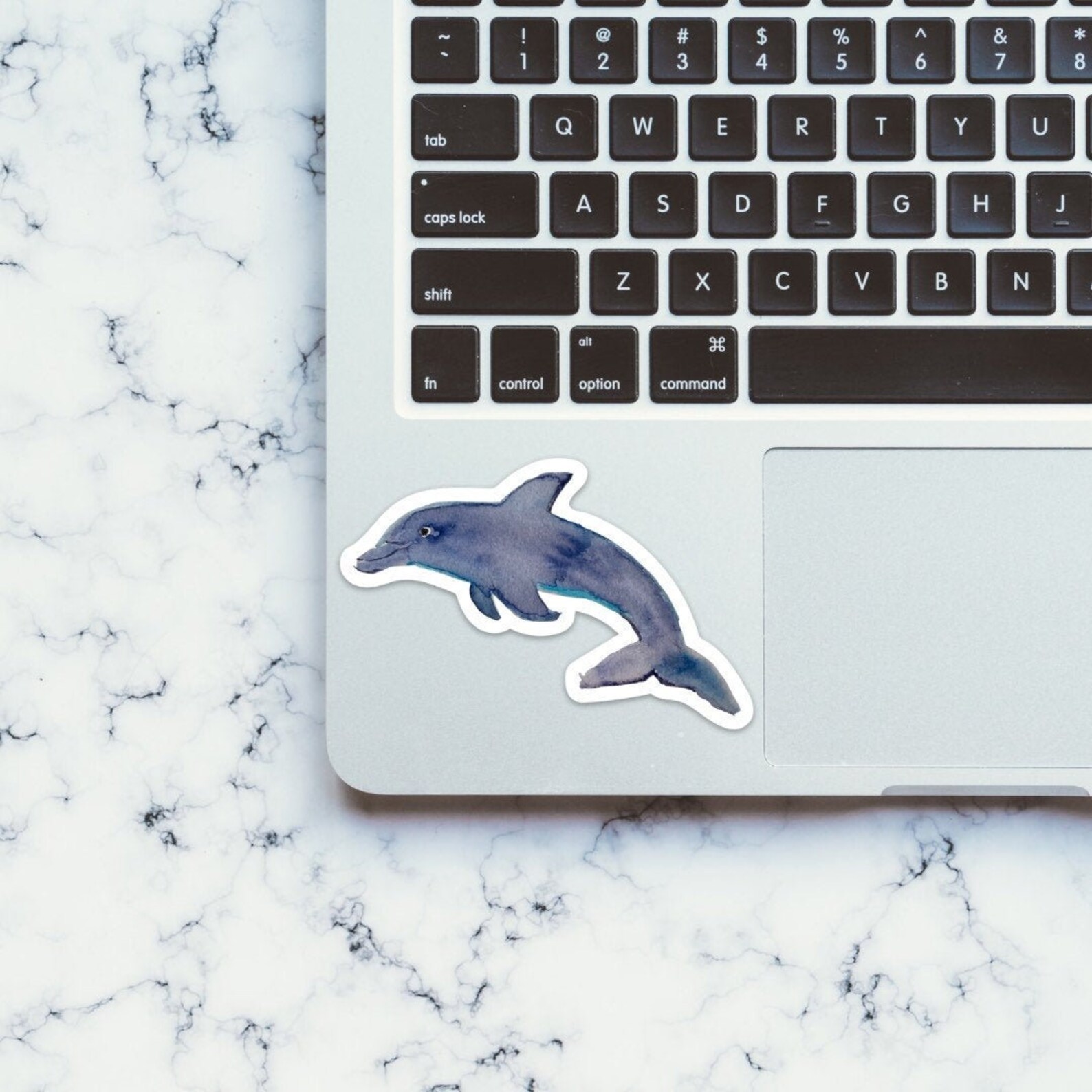 Watercolor Bottlenose Dolphin Sticker / Decal for Car | Etsy