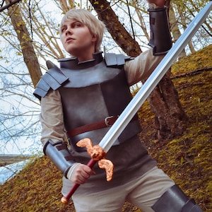 Laios Touden Digital Cosplay Armor Pattern Delicious in Dungeon - Etsy