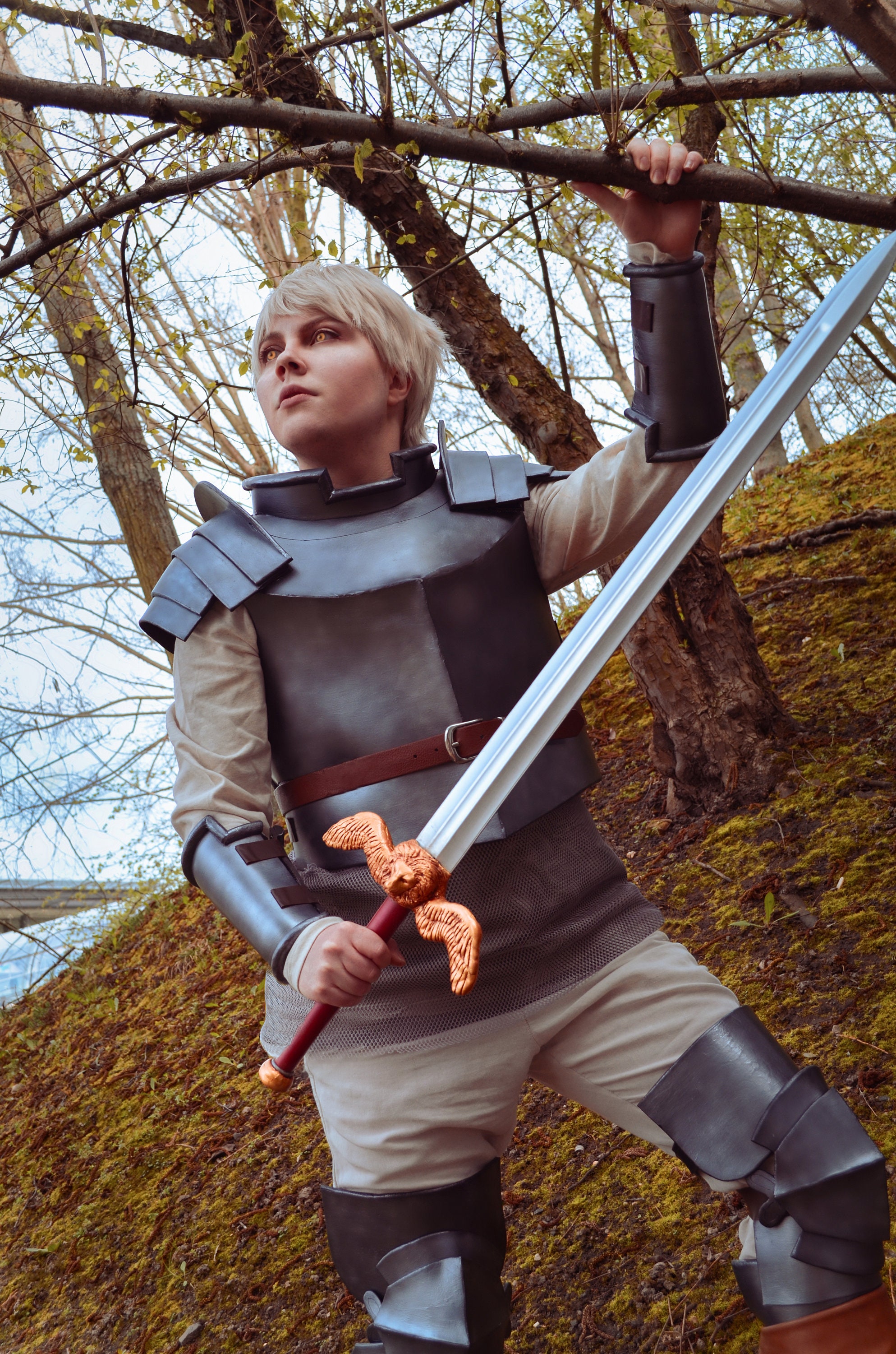 Laios Touden Digital Cosplay Armor Pattern Delicious in Dungeon - Etsy