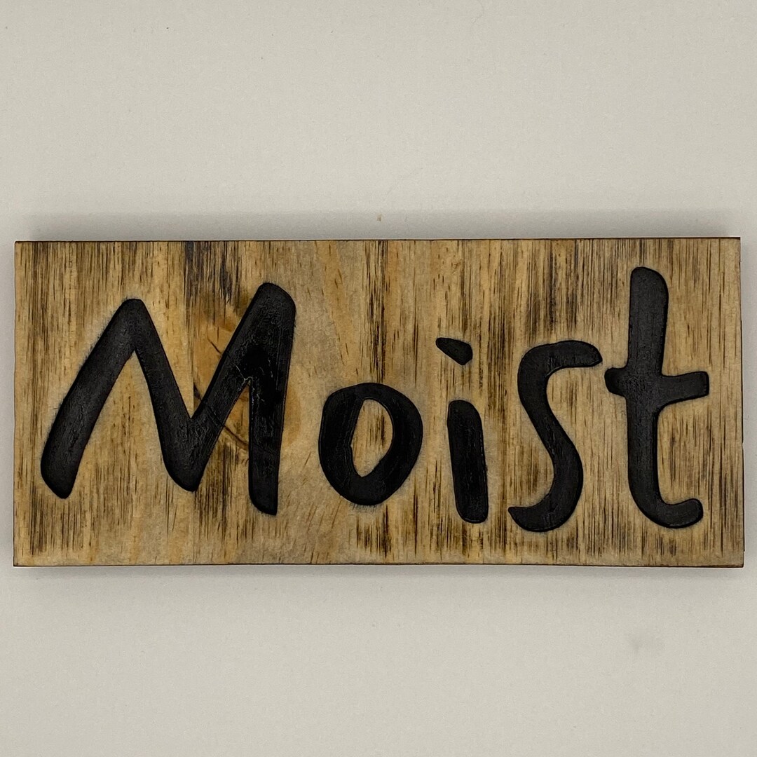 Moist Ready to Hang Wooden Sign Approximately 3.75 in X 8 in Home Decor ...