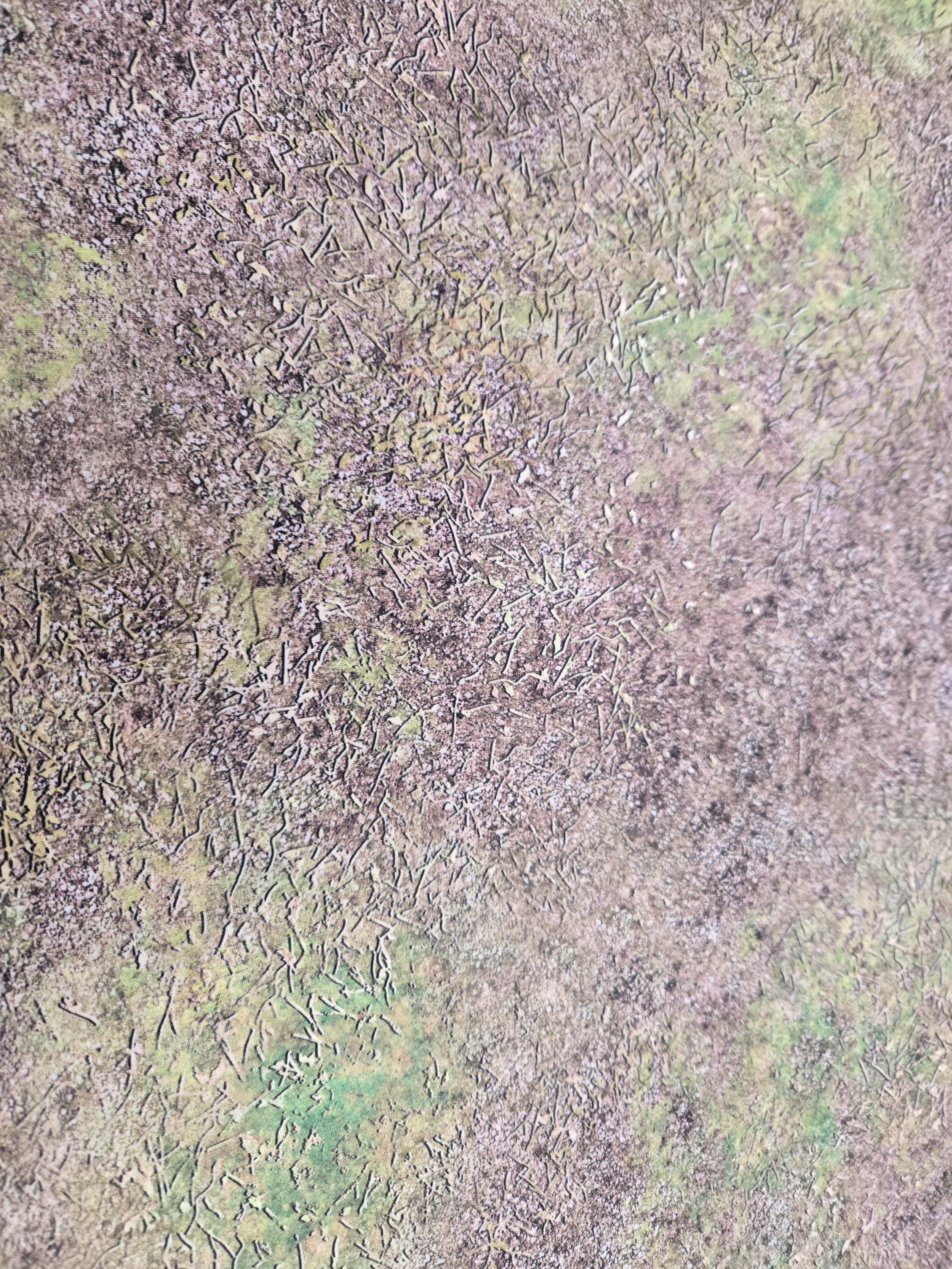 Endor Forest / Forest Floor Playmat / Gripmat Multiple Sizes! Perfect ...