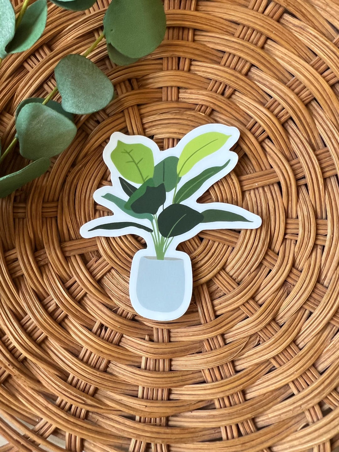 Plant Sticker | Vinyl Sticker | Potted Plant Sticker | Water Bottle ...