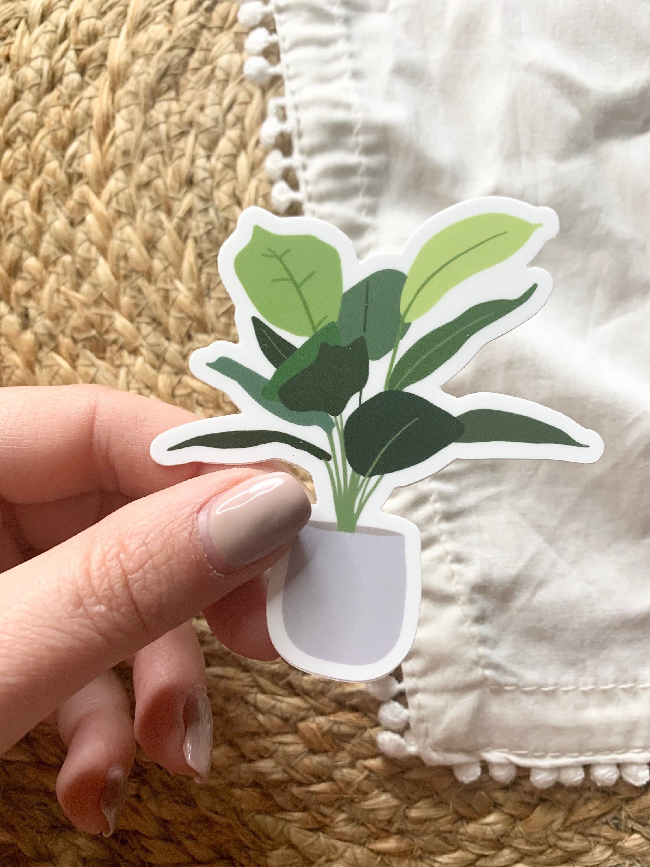Plant Sticker Vinyl Sticker Potted Plant Sticker Water | Etsy