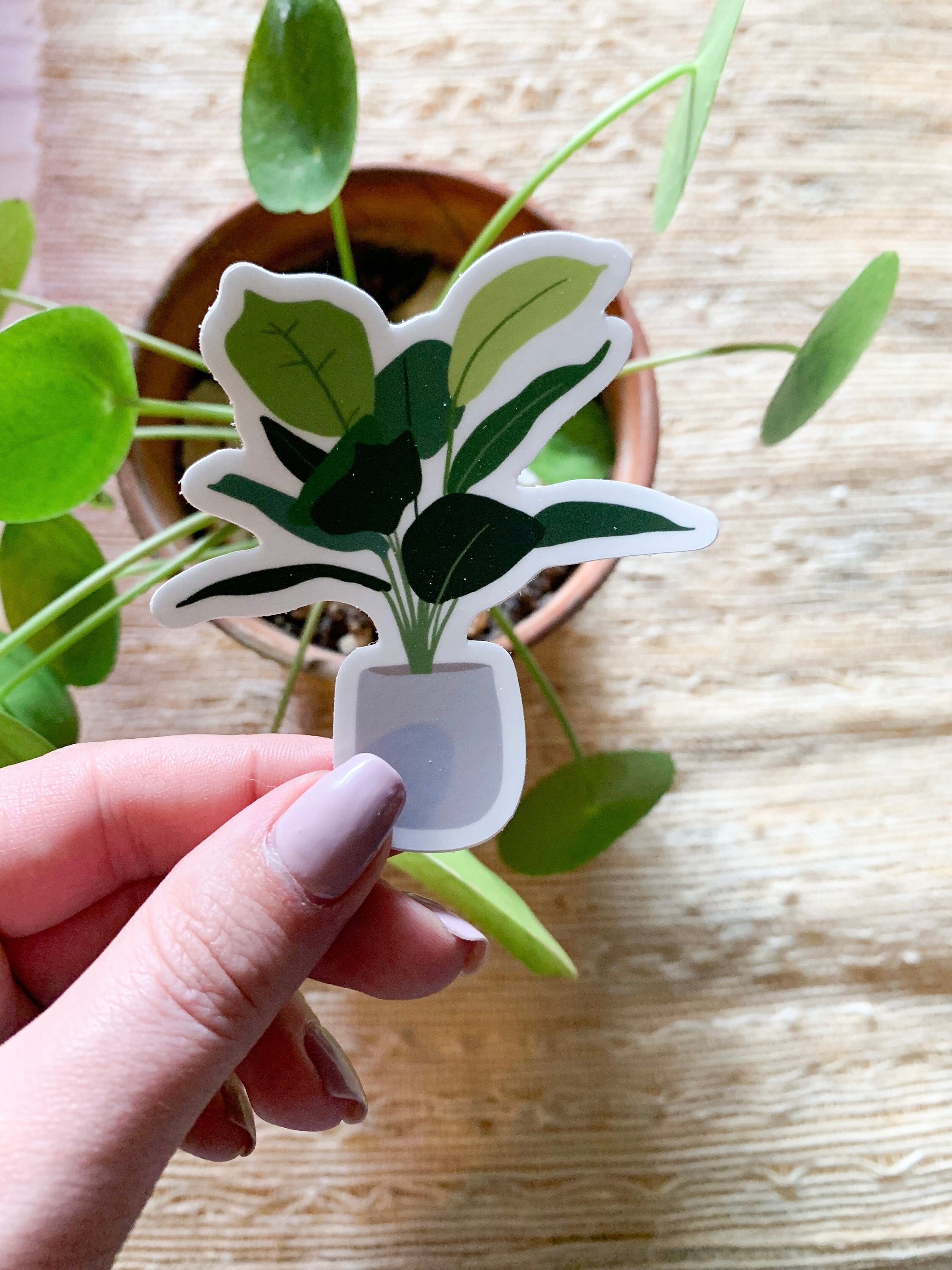 Plant Sticker Vinyl Sticker Potted Plant Sticker Water | Etsy