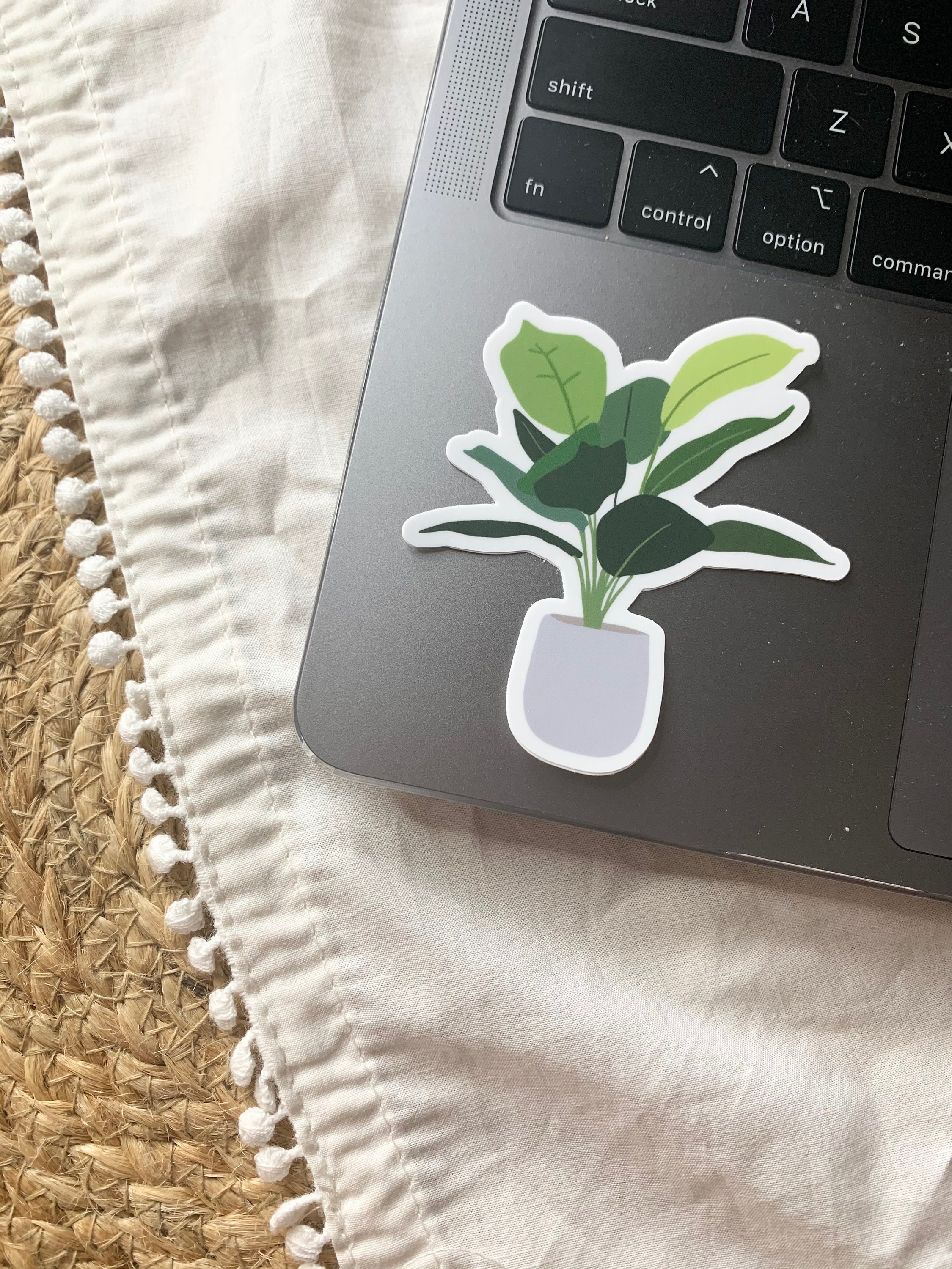 Plant Sticker Vinyl Sticker Potted Plant Sticker Water | Etsy