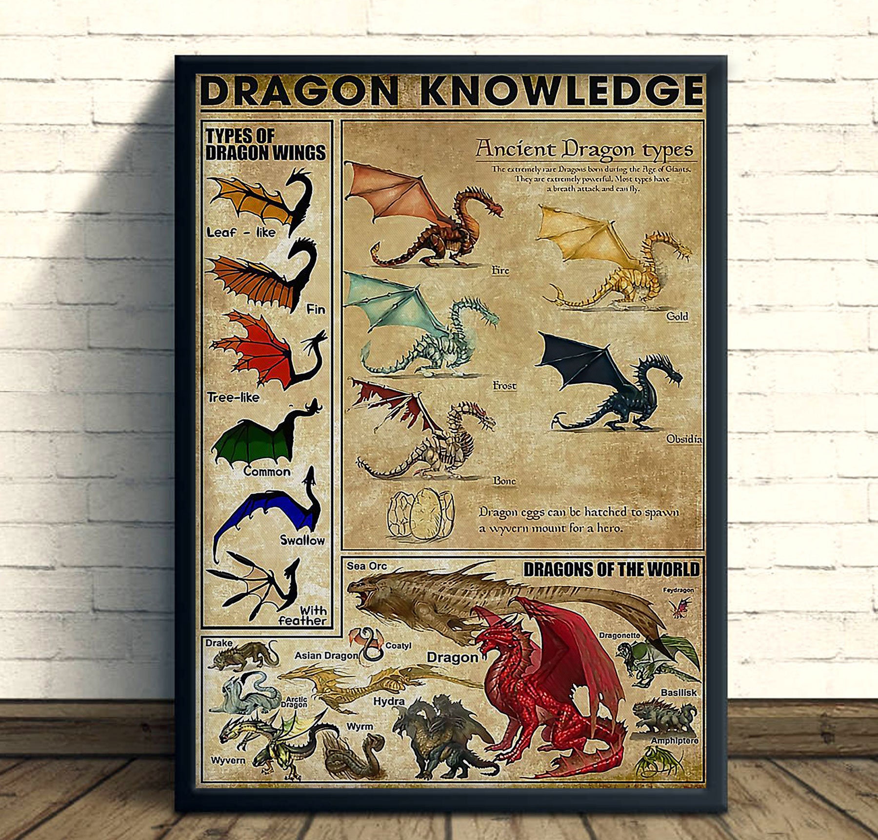 Dragon Knowledge Poster or Canvas Types of Dragon Wings Wall - Etsy Canada