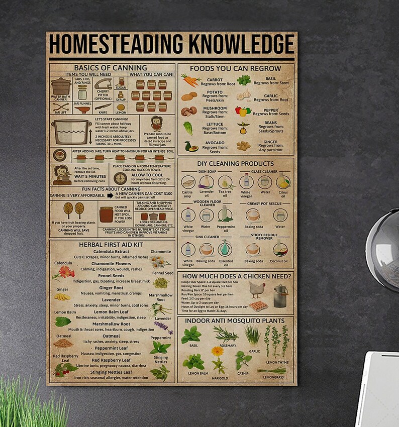 Homesteading Knowledge Poster or Canvas Basic of Canning Wall - Etsy