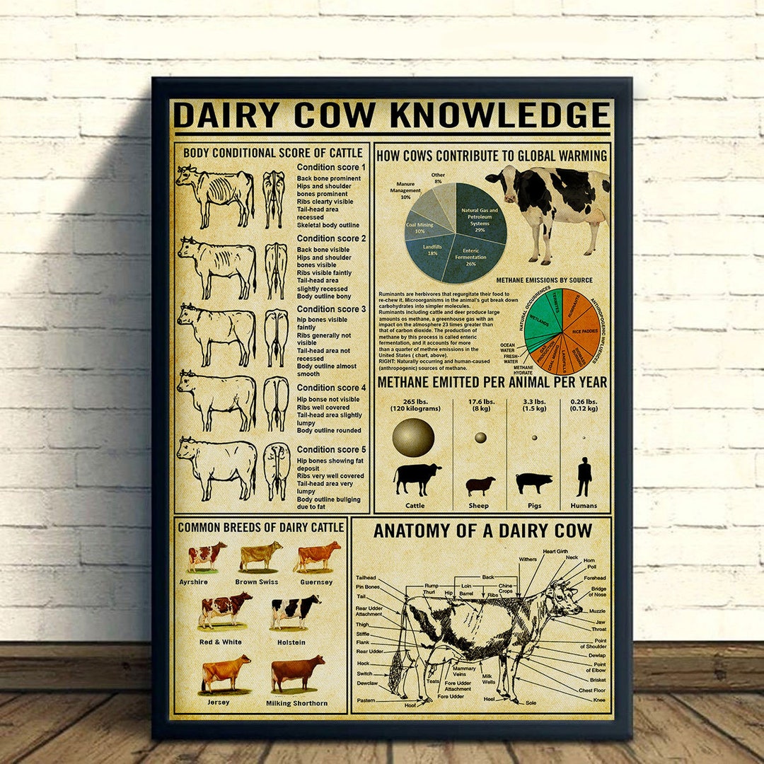 Dairy Cow Knowledge Poster or Canvas, Farmer Cow Knowledge Wall Art ...