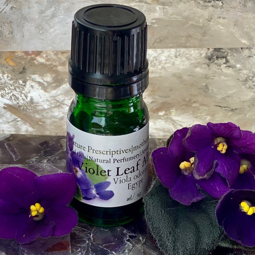 Violet Leaf Absolute Oil Viola Odorata Egypt Uncut Cucumber - Etsy
