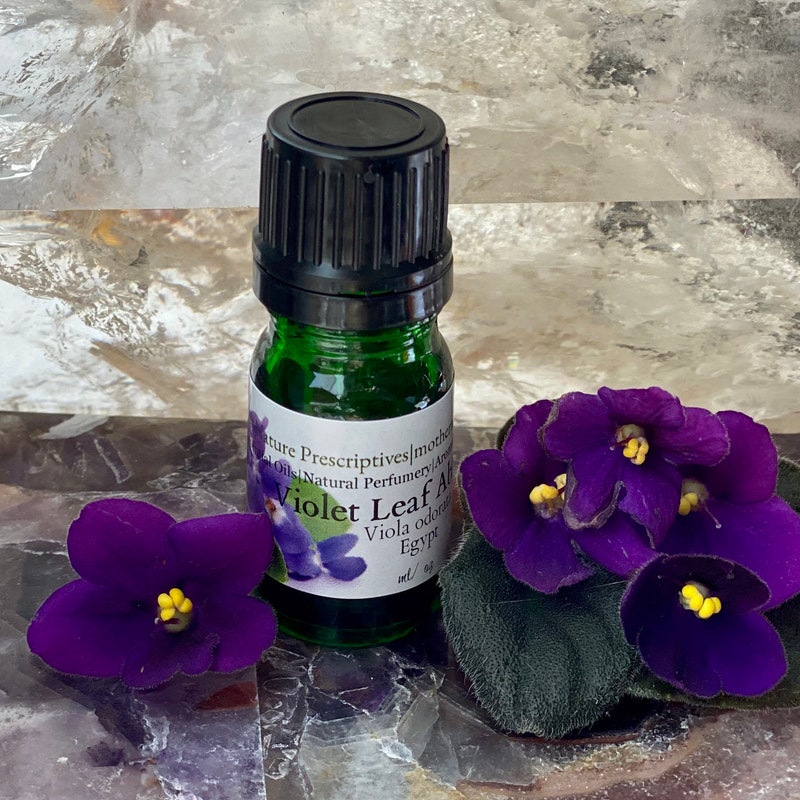 Viola Odorata - Etsy