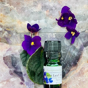 Violet Leaf Absolute Oil Viola Odorata Egypt Uncut Cucumber Note ...