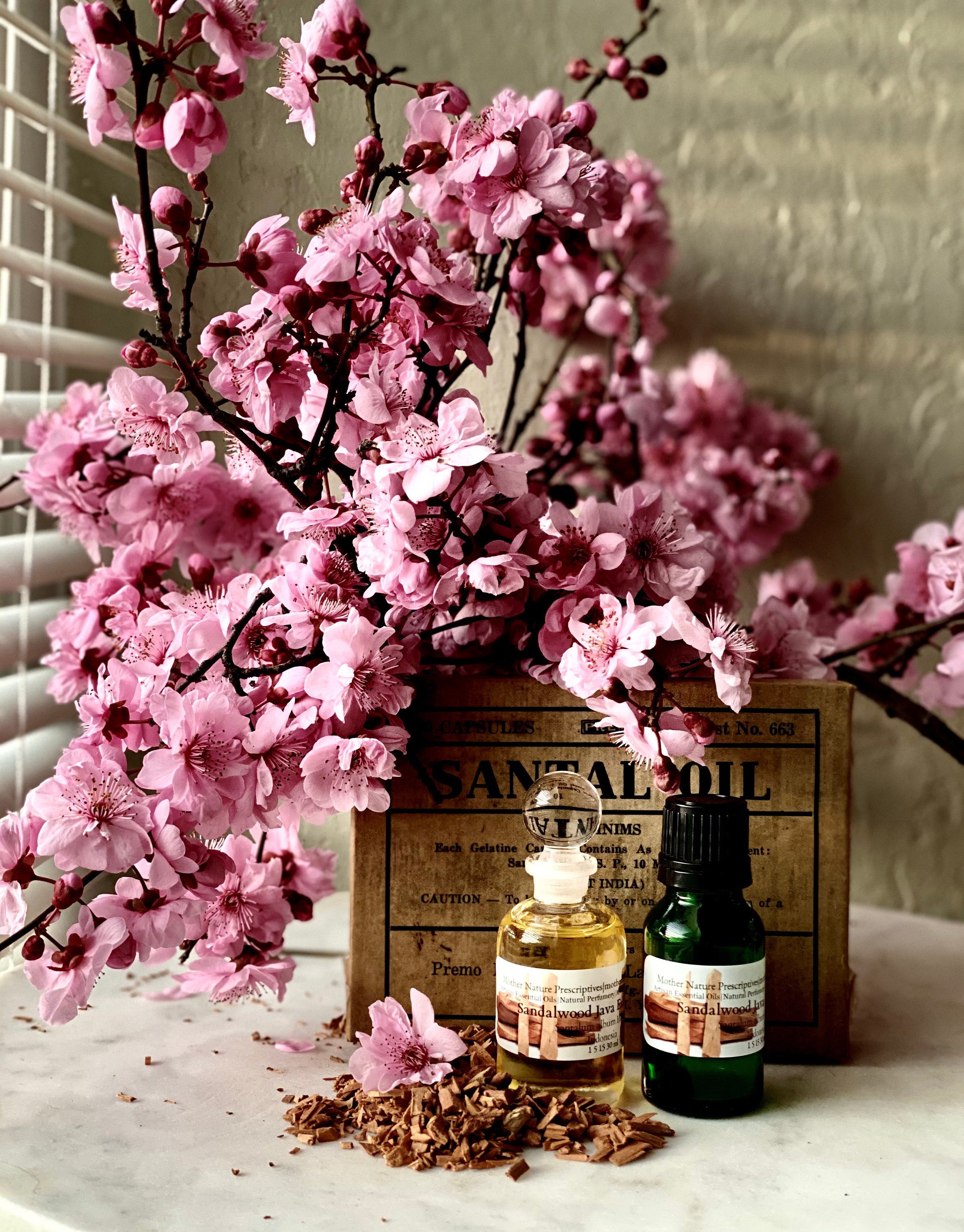 Java Sandalwood Indonesian Essential Oil Indonesia Rare - Etsy