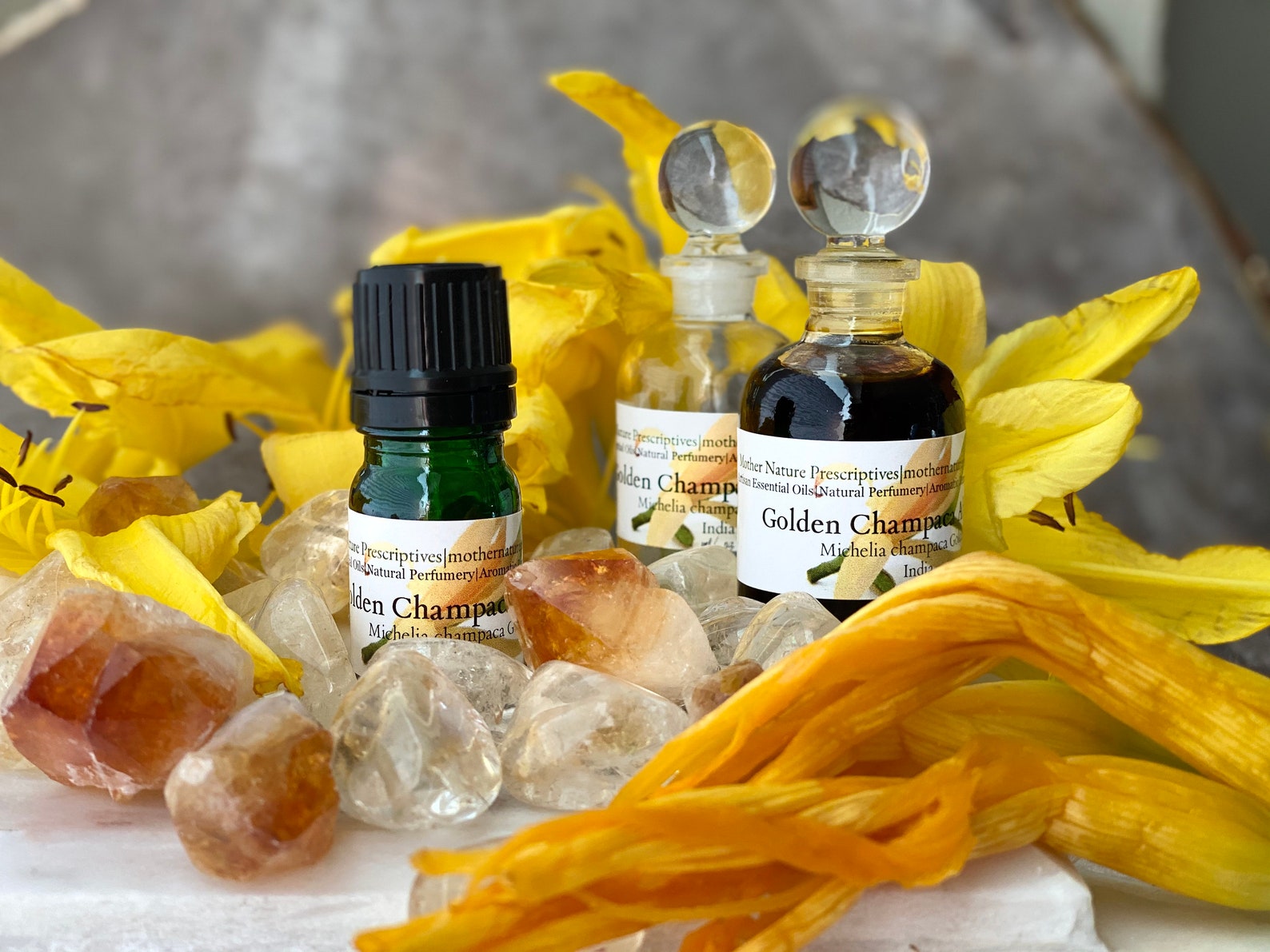 Golden Champaca Absolute Oil Michelia Champaca India Fruit - Etsy