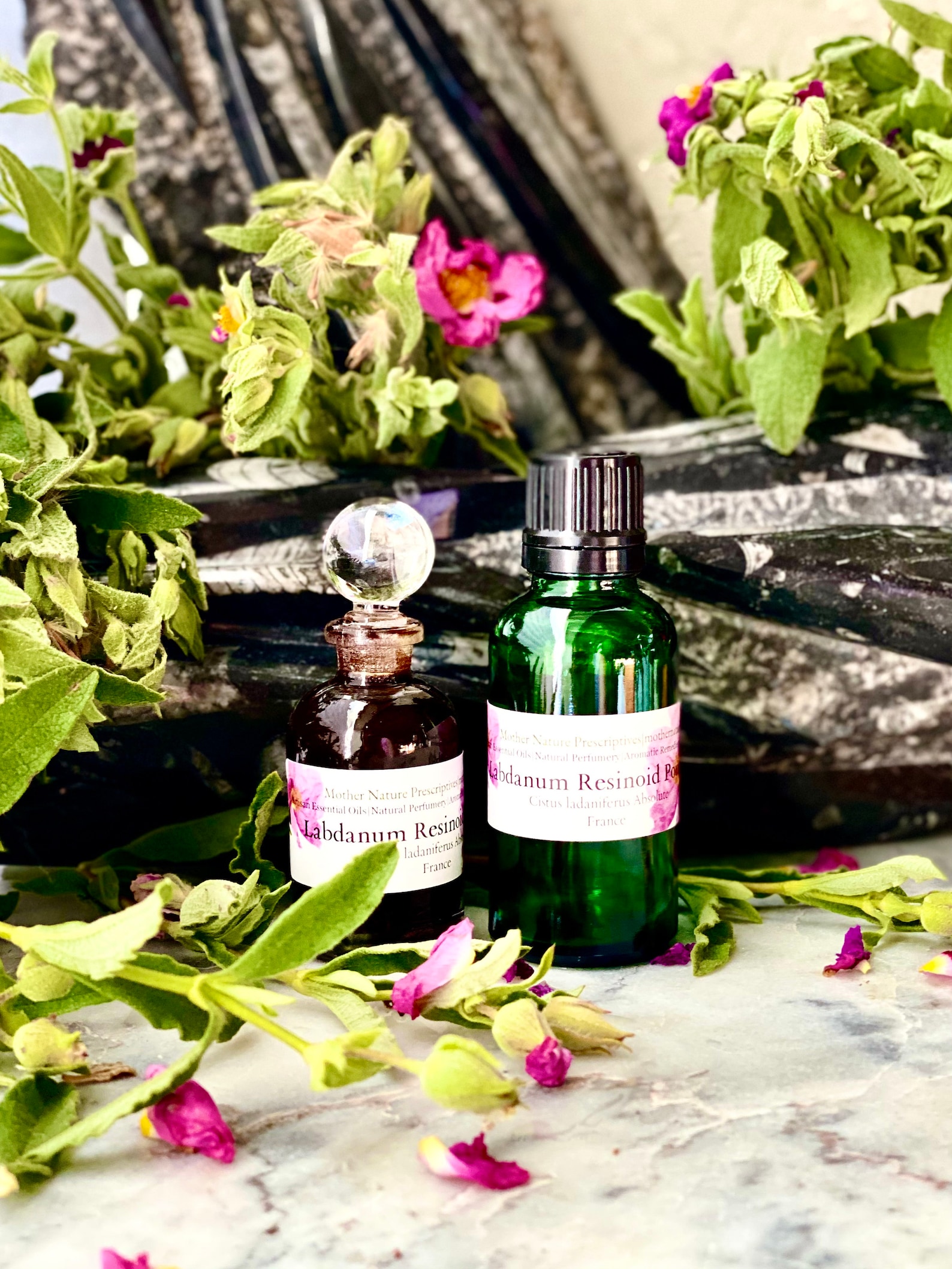 Wild Crafted Labdanum Pourable Resinoid Oil Cistus Ladaniferus - Etsy