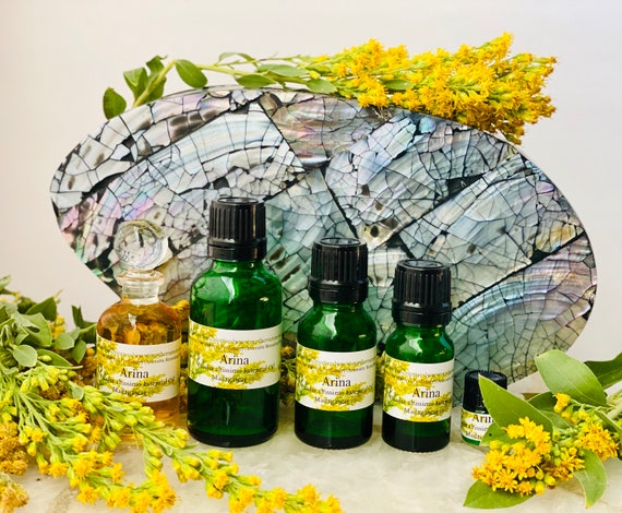Wild Crafted Arina Essential Oil Iary Psiadia Altissima | Etsy