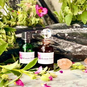 Wild Crafted Labdanum Pourable Resinoid Oil Cistus Ladaniferus Spain ...