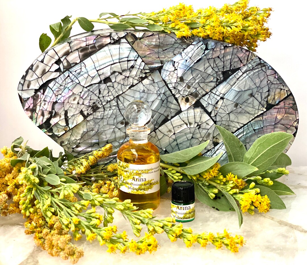 Wild Crafted Arina Essential Oil Iary Psiadia Altissima Madagascar ...