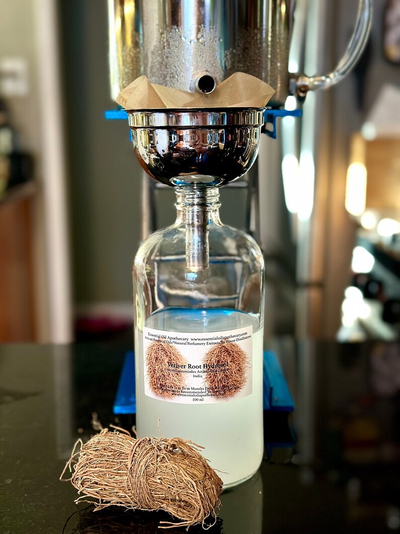Vetiver Hydrosol Distilled at Our Apothecary Vetiver Zizaniodes ...