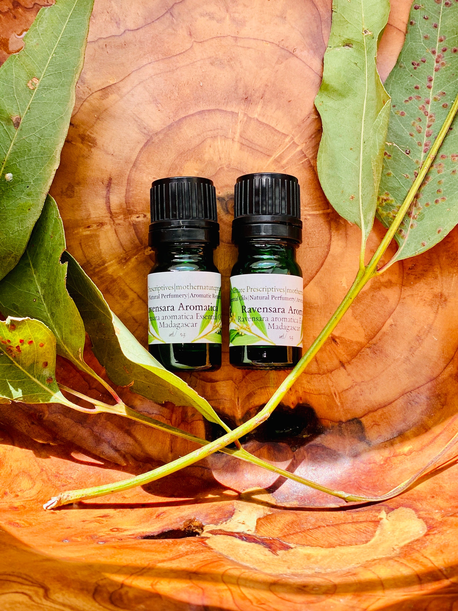 Ravensara Essential Oil Ravensara Aromatica Madagascar Havozo | Etsy