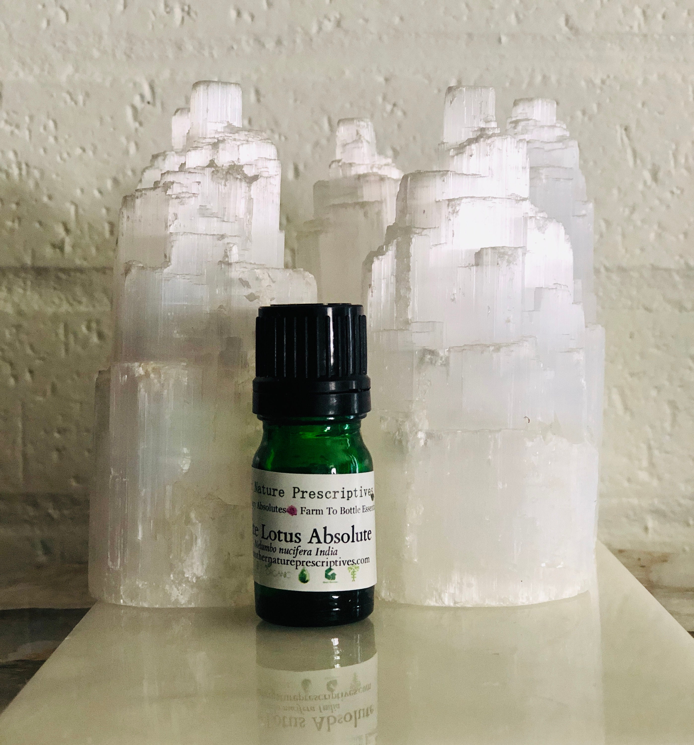 White Lotus Absolute Oil Nelumbo Nucifera Saraswati Kamal Natural ...