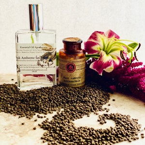 Musk Ambrette Seed Hydrosol Abelmoschus Moschatus India Abelmosk ...