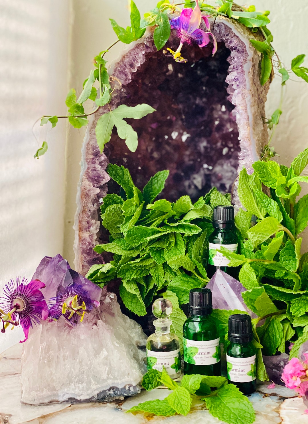 Spearmint Essential Oil Mentha Spicata USA 70% Carvone Blends With Rose ...