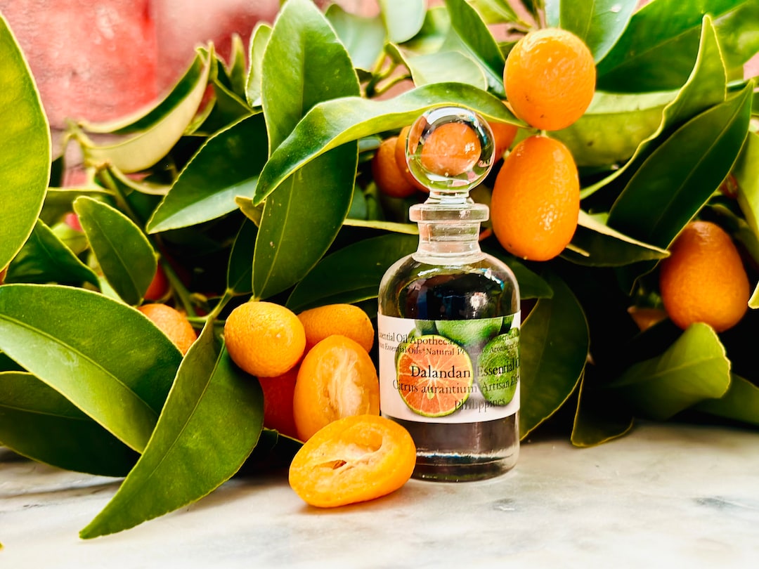 Dalandan (citrus Aurantium) Essential Oil Filipino Orange Oil Small ...