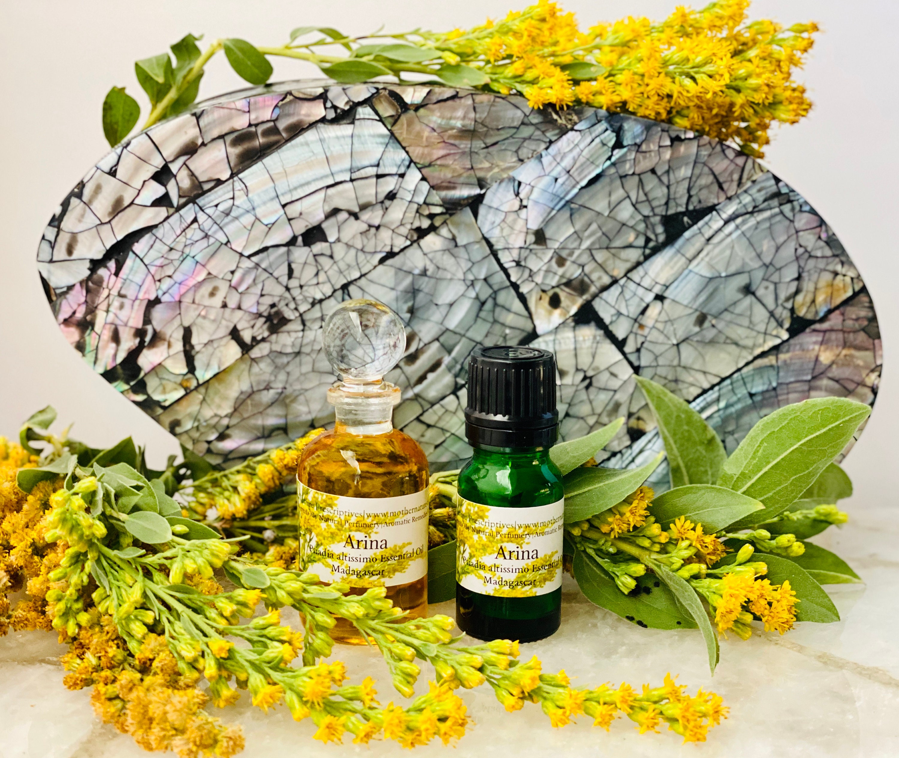 Wild Crafted Arina Essential Oil Iary Psiadia Altissima | Etsy