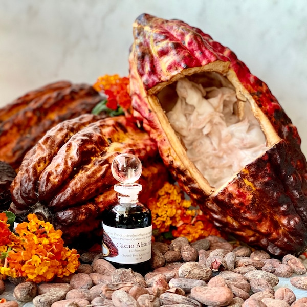 Cacao Essential Oil - Etsy
