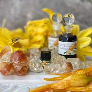 Golden Champaca Absolute Oil Michelia Champaca India Fruit Notes ...