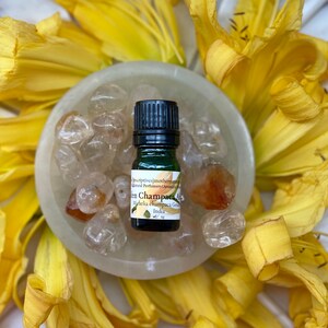 Golden Champaca Absolute Oil Michelia Champaca India Fruit Notes ...