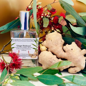 Ginger Hydrosol Distilled at Our Apothecary Fresh Locally Grown Ginger ...