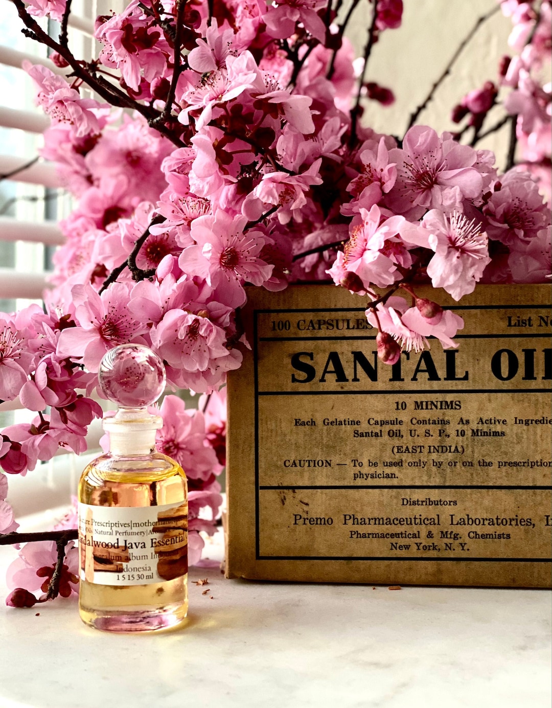 Java Sandalwood Indonesian Essential Oil Indonesia Rare Santalum Album ...