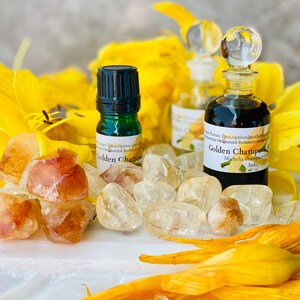 Golden Champaca Absolute Oil Michelia Champaca India Fruit Notes ...