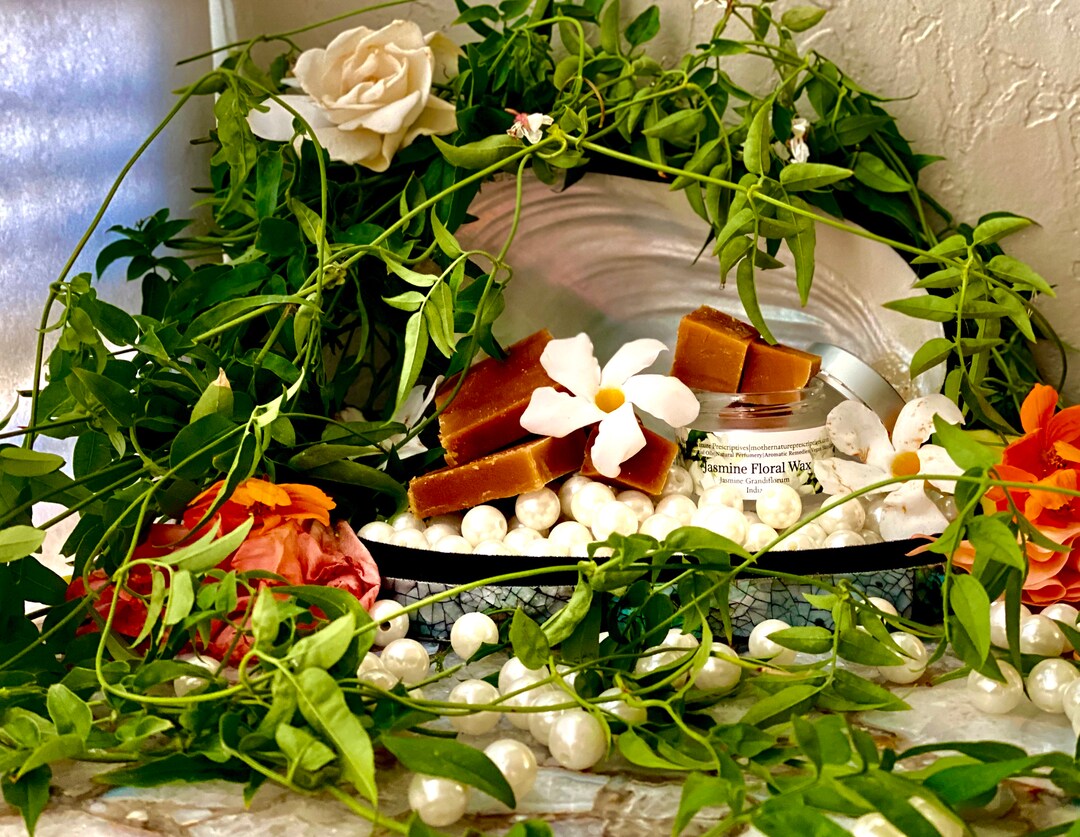 Jasmine Grandiflorum Floral Wax Jasminum Grandiflorum India Flower ...