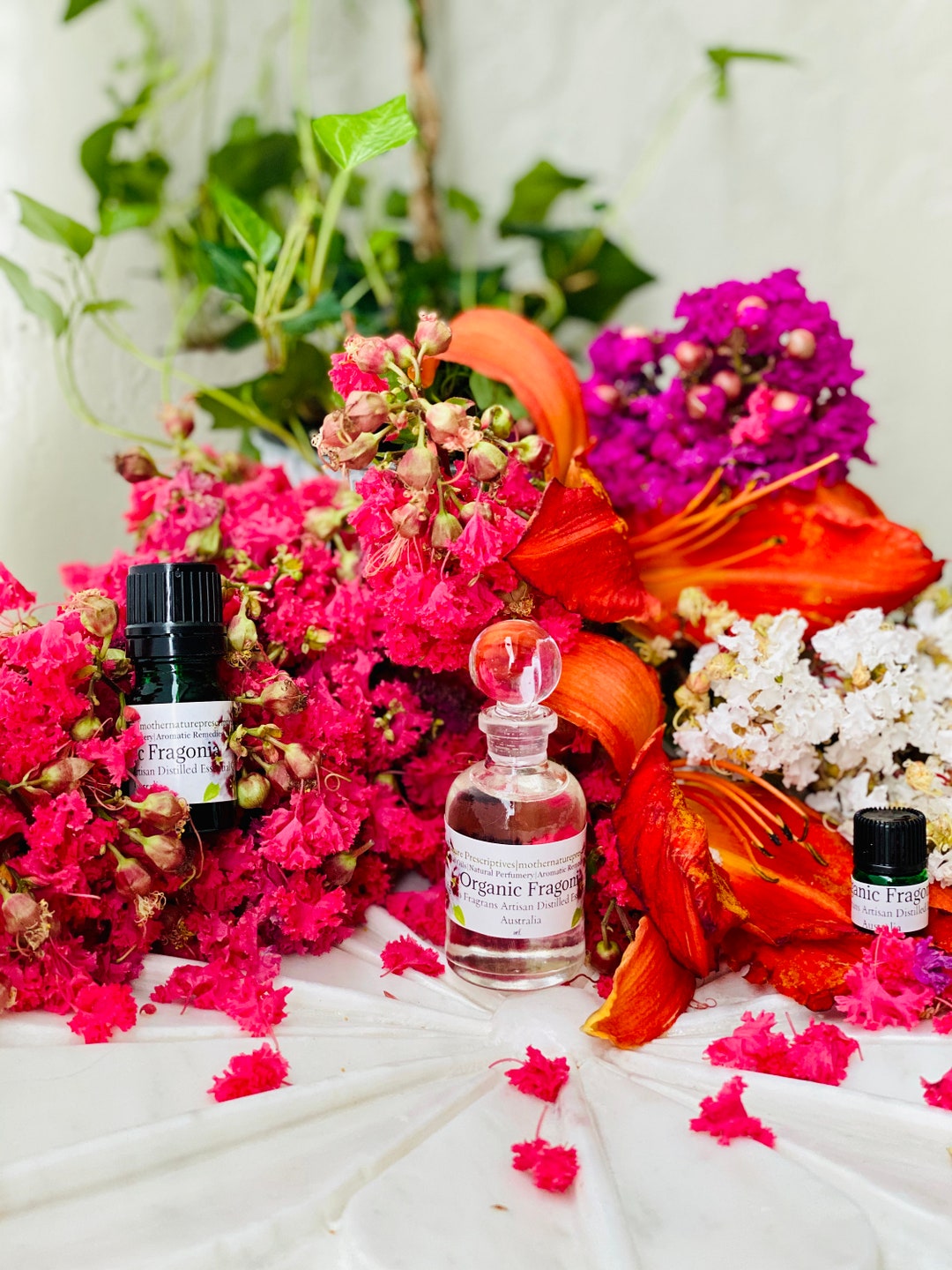 Fragonia Essential Oil Agonis Fragrans Australia Rare Floral Tea Tree ...