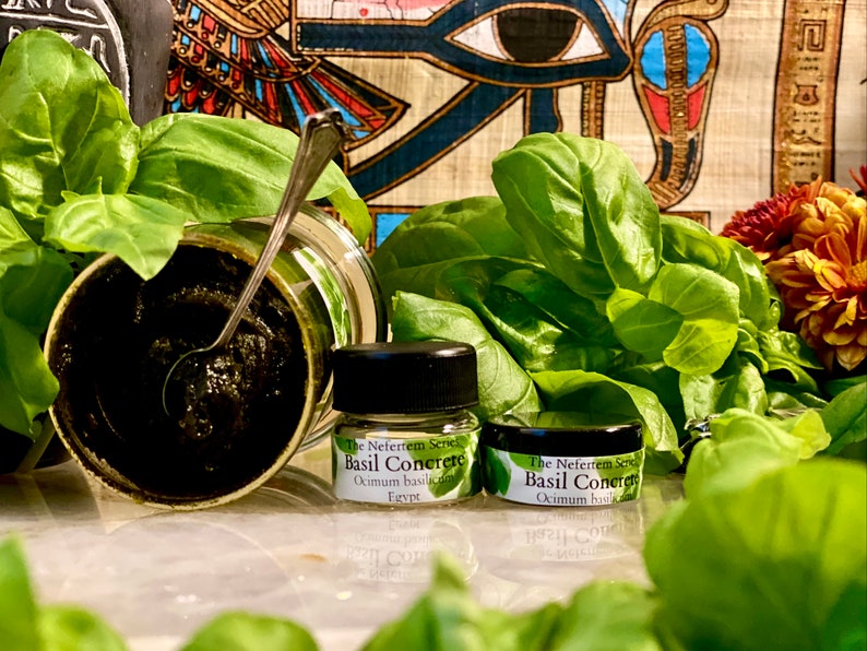 Basil Concrete Ocimum Basilicum Egypt Organic Solid Perfume - Etsy