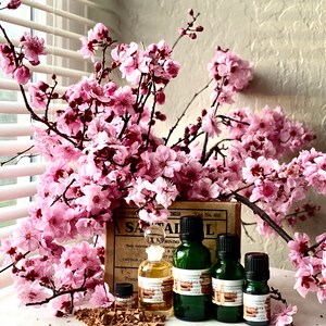 Java Sandalwood Indonesian Essential Oil Indonesia Rare Santalum Album ...