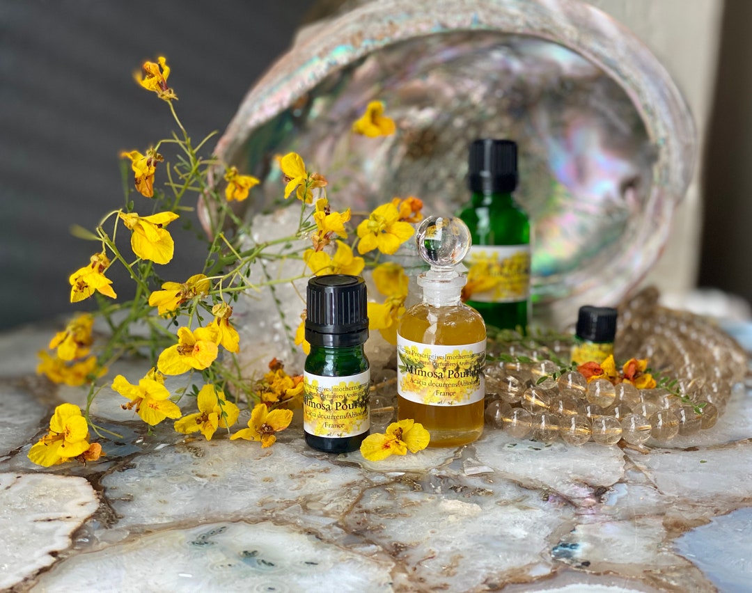 Mimosa Absolute Pourable Oil Acacia Decurrens France Hexane Free ...