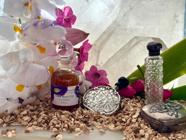 Orris Root CO2 Oil Iris Pallida China Perfume Fixative Violet Notes ...