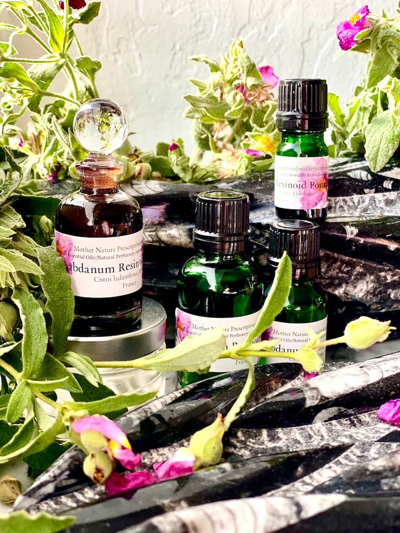 Wild Crafted Labdanum Pourable Resinoid Oil Cistus Ladaniferus Spain ...